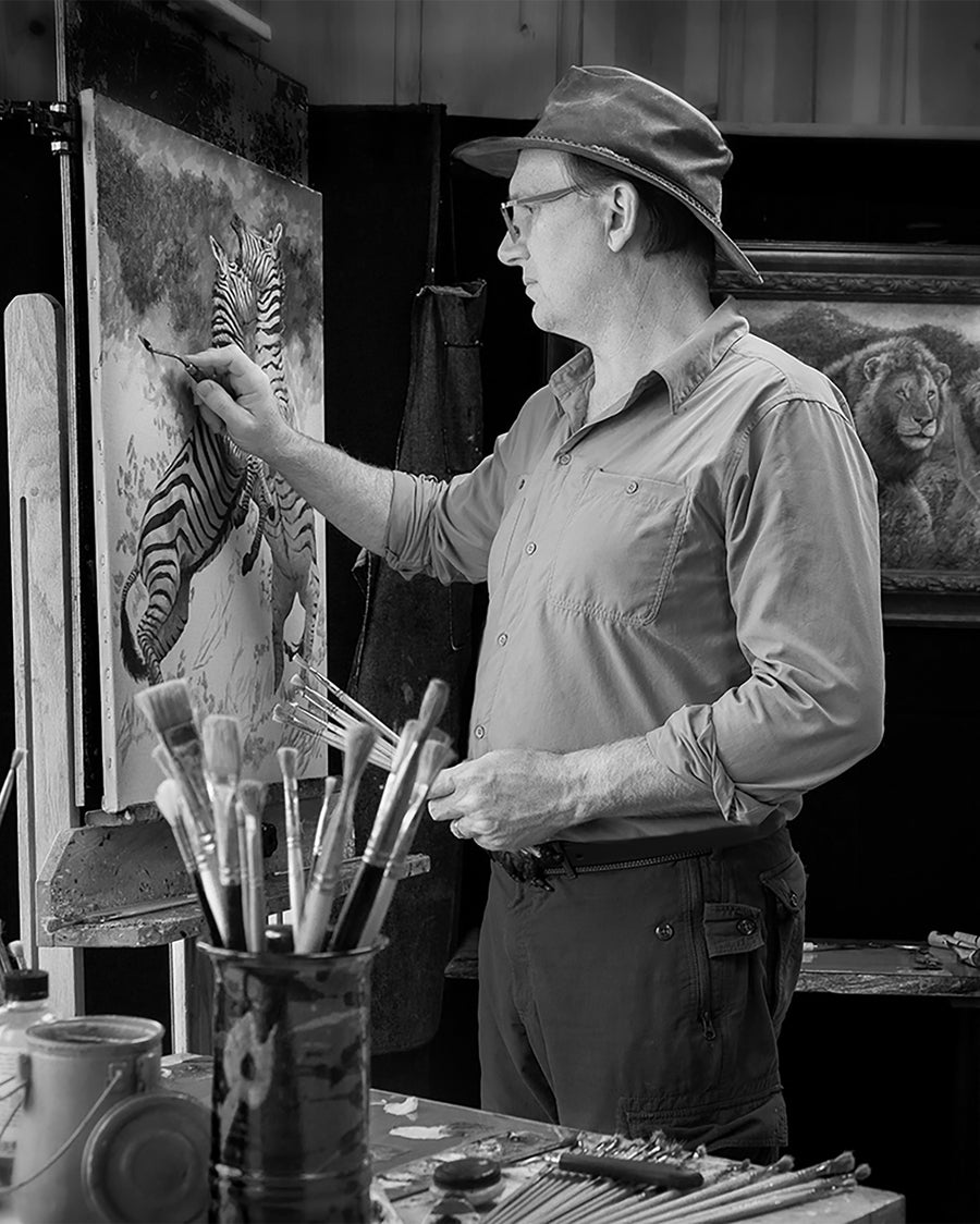 bald-eagle in Flight Limited Edition Canvas Print by Artist Cory ...