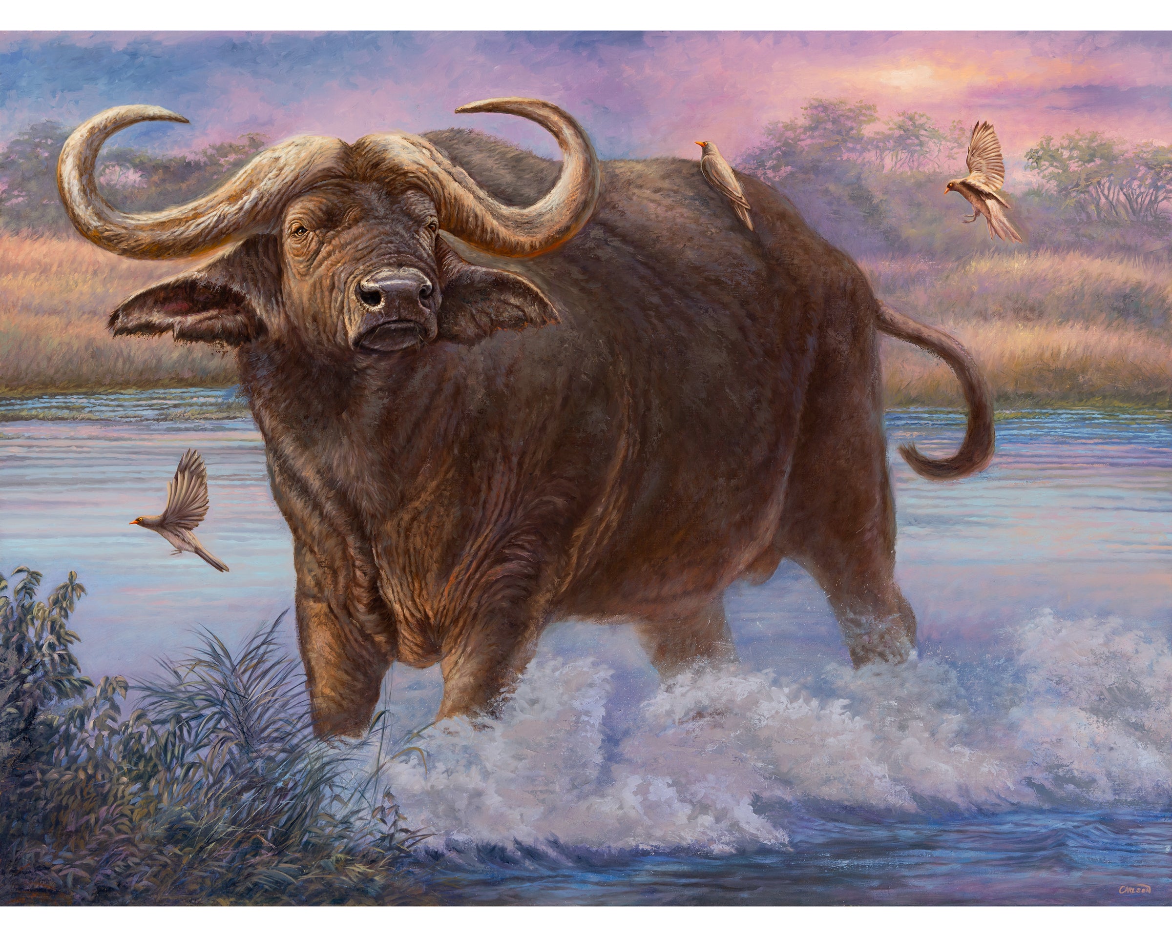 Dagga Boy Crossing – Carlson Fine Art Studio