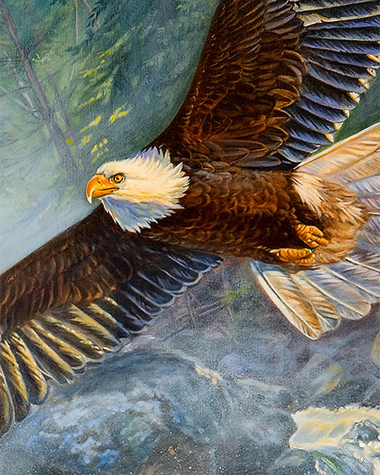 bald-eagle in Flight Limited Edition Canvas Print by Artist cory ...