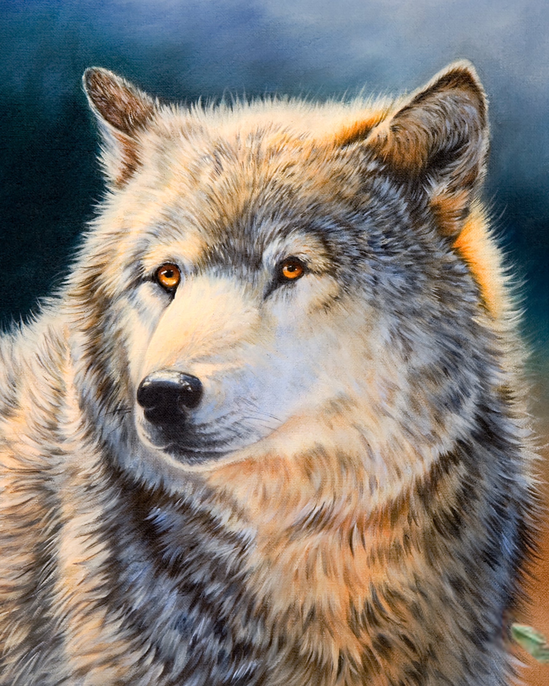 Grey Wolf – Carlson Fine Art Studio